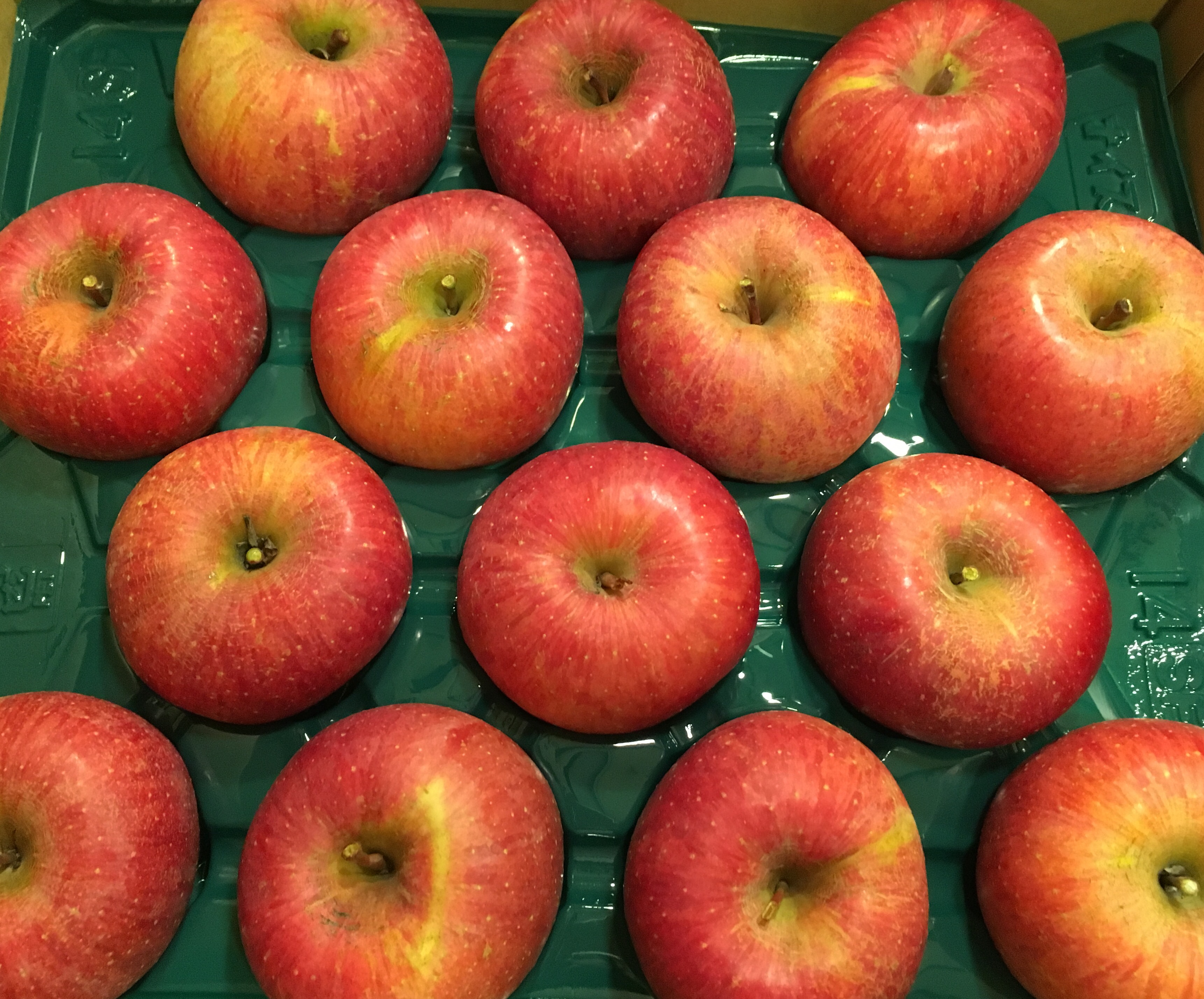 %e3%83%95%e3%82%a1%e3%82%a4%e3%83%ab-2016-12-02-21-44-59 | 色はいろいろ